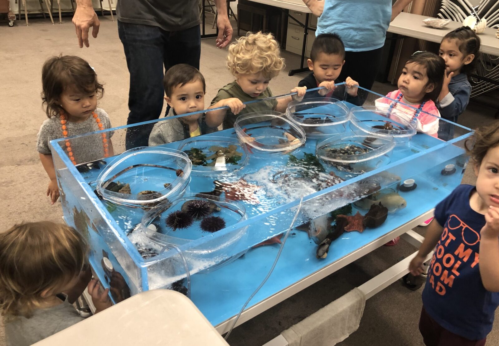 Programs - Weekday Preschool